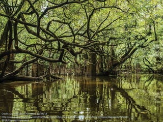 GHY341 guest Christopher Jackson - One Lake 2018_11_06 | PPTX