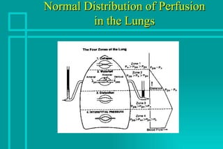 One Lung Ventilation | PPT