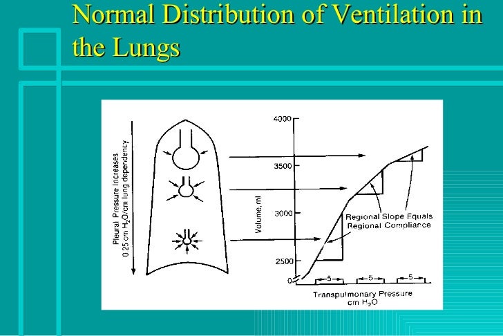 One Lung Ventilation
