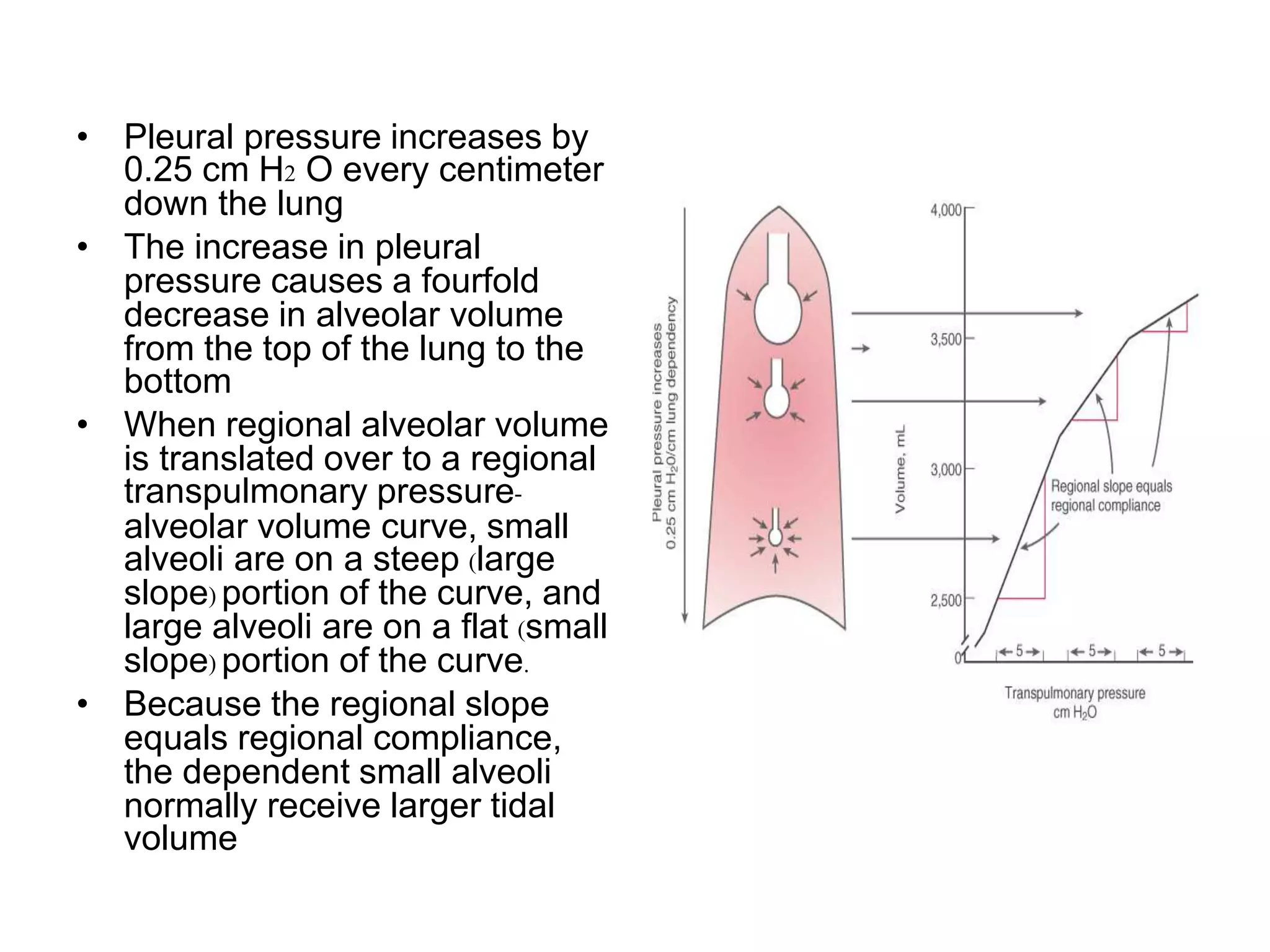One lung ventilation | PPT