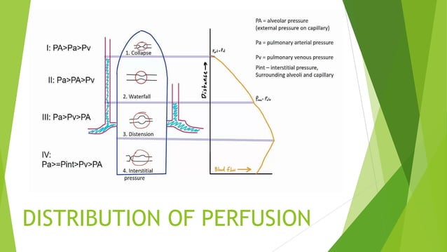 One lung ventilation | PPT