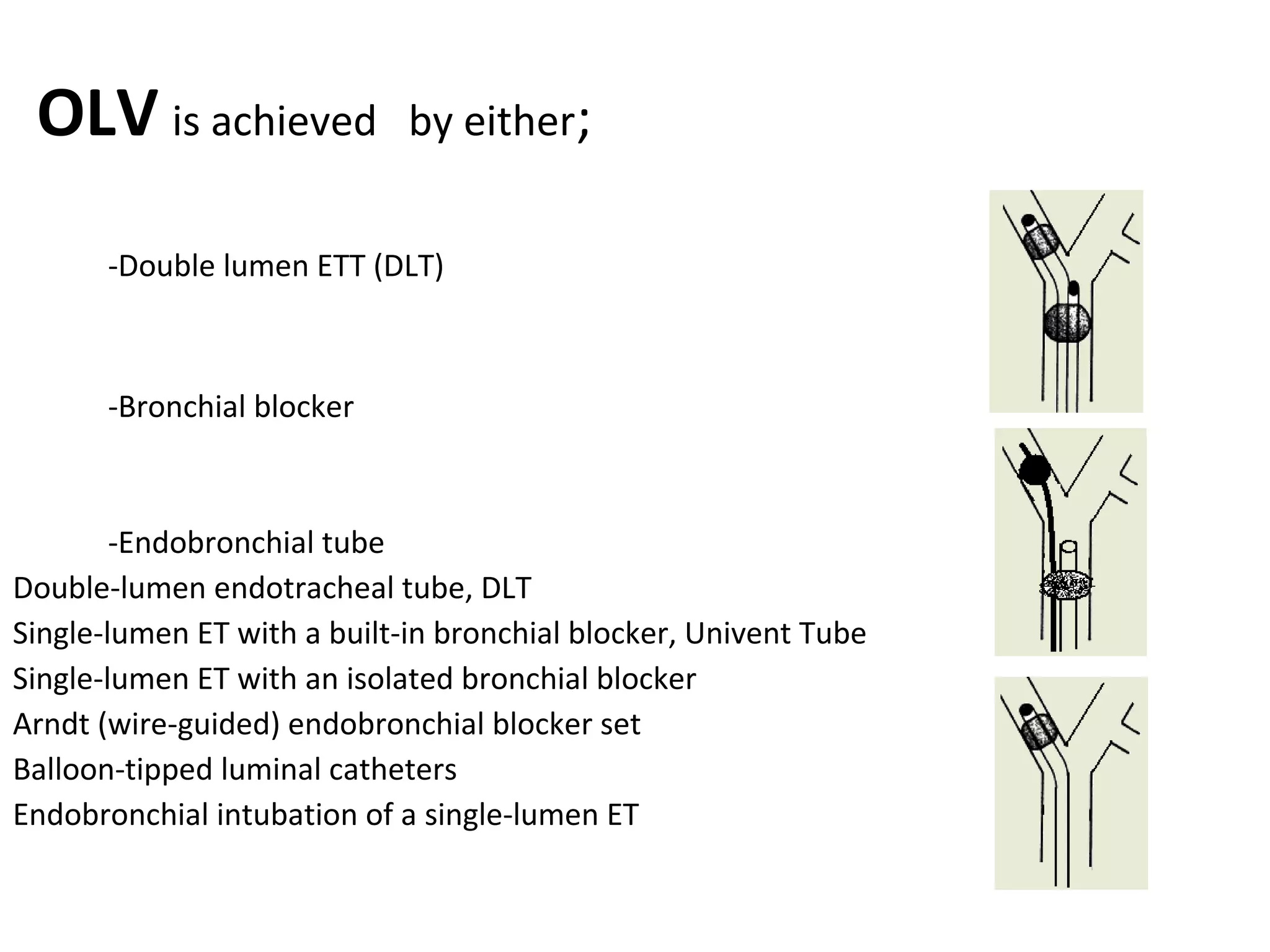 One lung ventilation | PPT