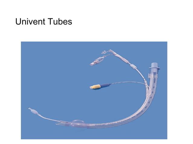 One lung ventilation | PPT | Lung and Respiratory Health | Diseases and ...