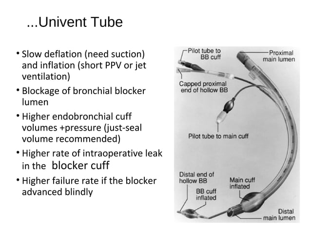 One lung ventilation | PPT | Lung and Respiratory Health | Diseases and ...