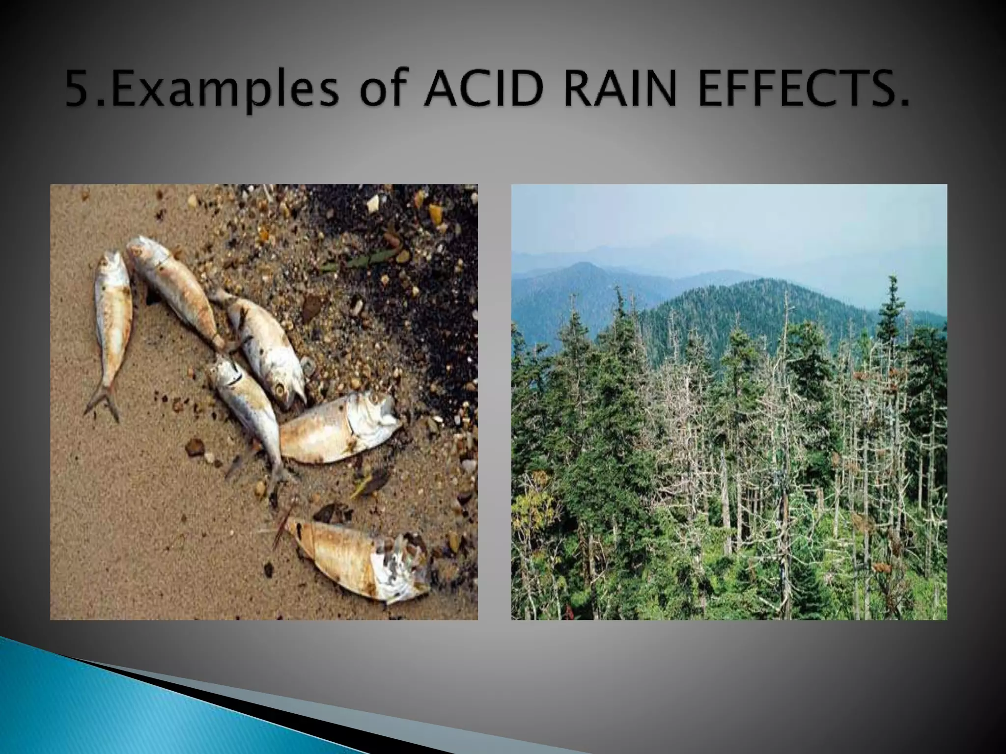 One natural phenomena that affect one world is acid rain | PPT