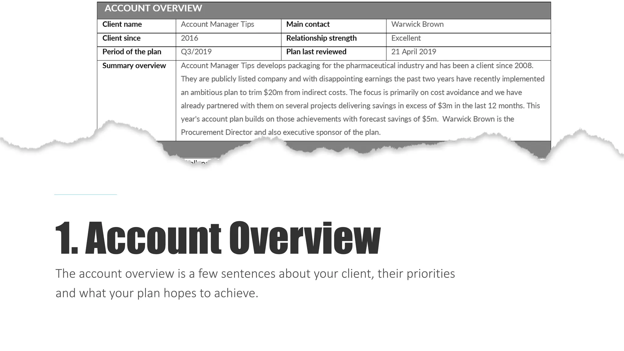 How to Create The Ultimate One Page Key Account Plan | PDF