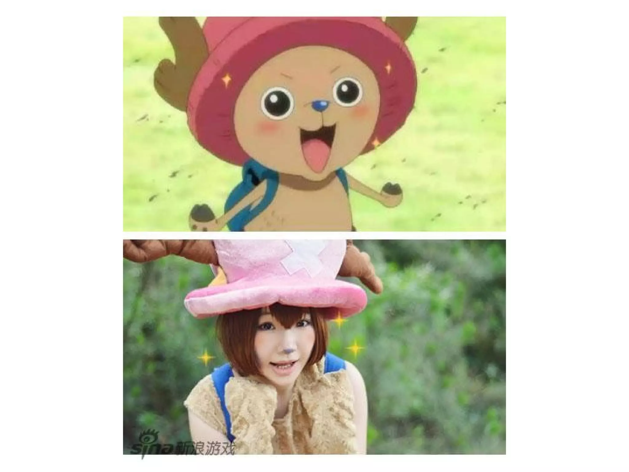 One Piece Tony Tony Chopper cosplay | PPT