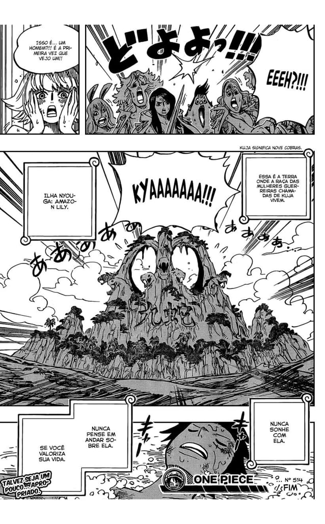 One piece volume 53 (513-522) | PDF