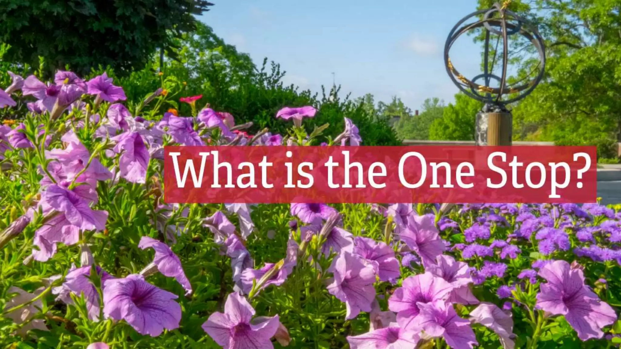 Miami University's One Stop | PPT