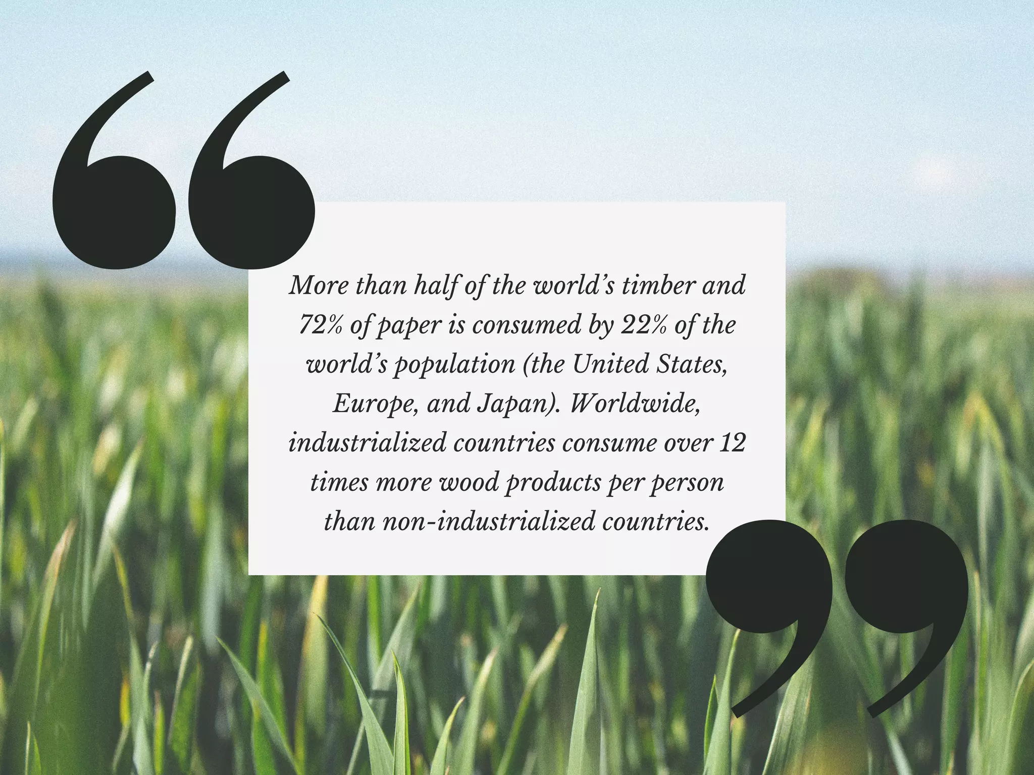 10 Shocking Facts About Deforestation - One Tree Planted | PDF ...