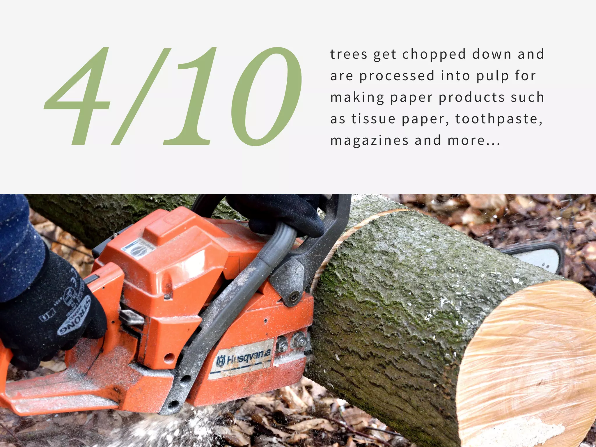 10 Shocking Facts About Deforestation - One Tree Planted | PDF