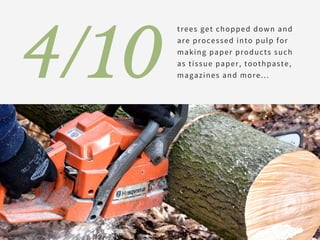 10 Shocking Facts About Deforestation - One Tree Planted | PDF