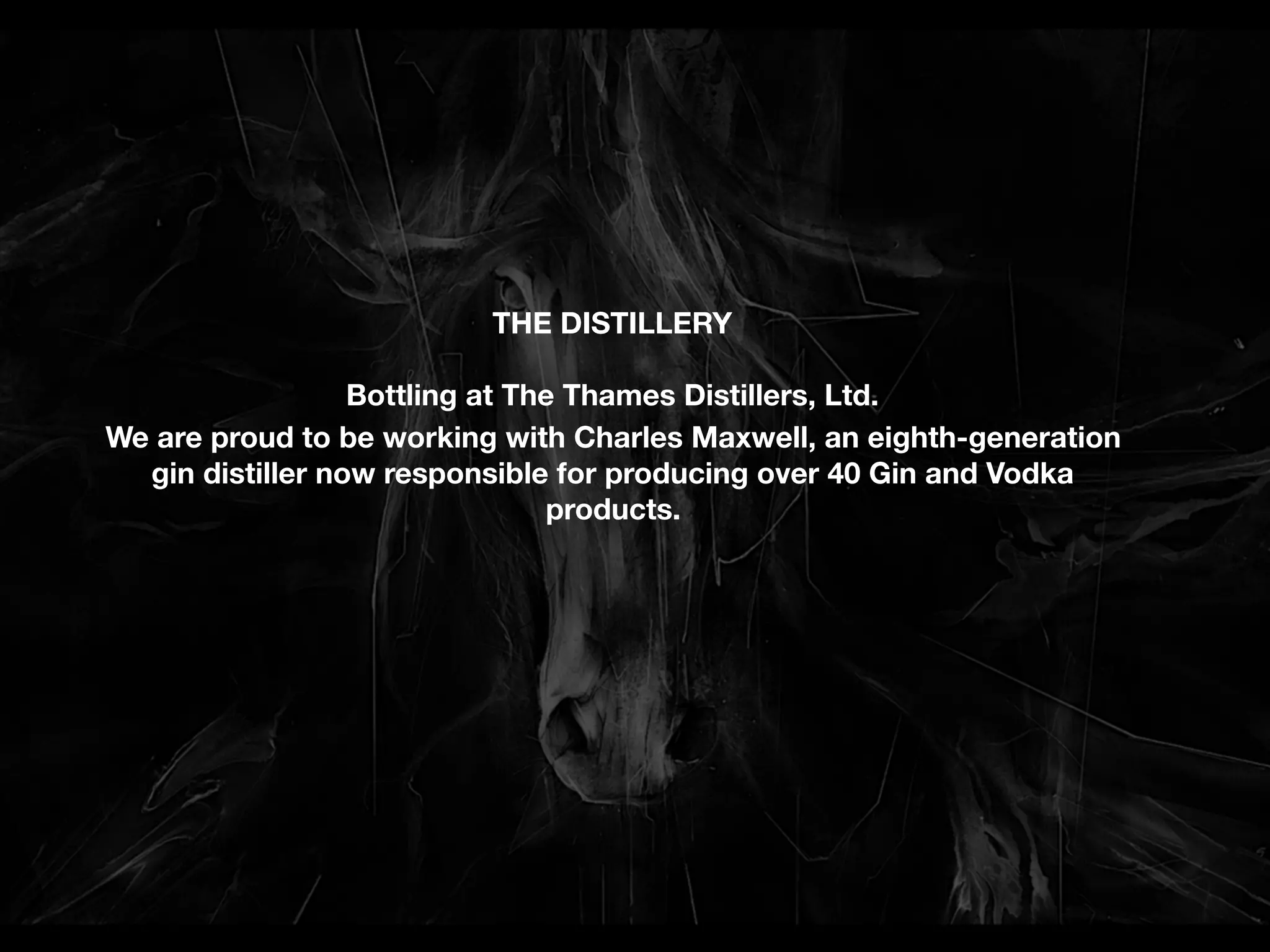 One True Maverick - Maverick Vodka | PPT