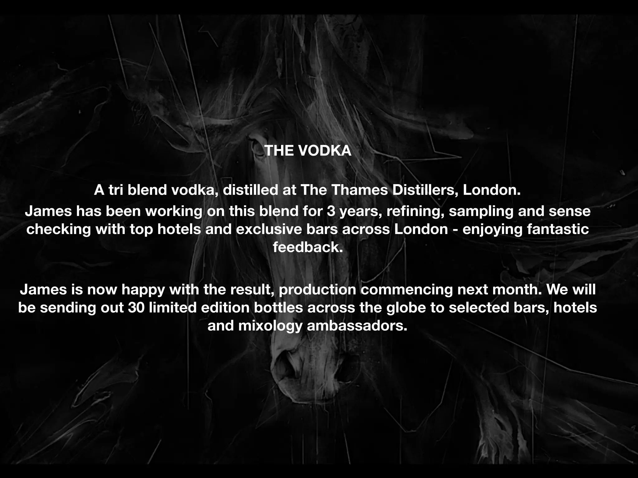 One True Maverick - Maverick Vodka | PPT