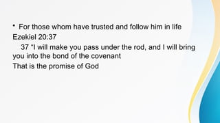 The One True Thing in the World: A Guiding Light in Life" | PPT