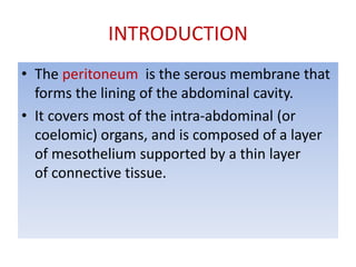 Peritoneum and retroperitoneum | PPT