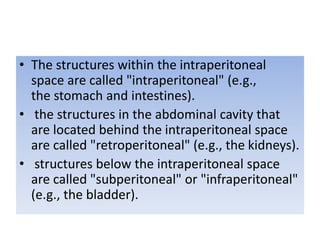 Peritoneum and retroperitoneum | PPT