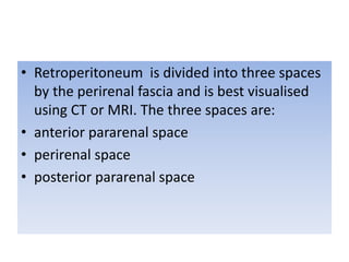 Peritoneum and retroperitoneum | PPT