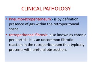 Peritoneum and retroperitoneum | PPT