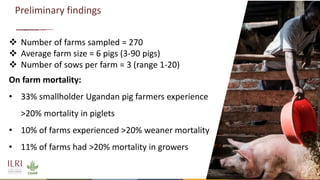 Understanding mortality and morbidity of pigs in Ugandan smallholder ...