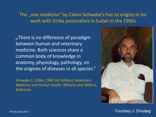 One World - One Health presentation Katinka de Balogh FAO | PDF
