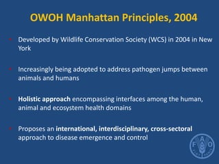 One World - One Health presentation Katinka de Balogh FAO | PDF | Cold ...