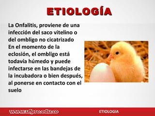 Onfalitis | PPT