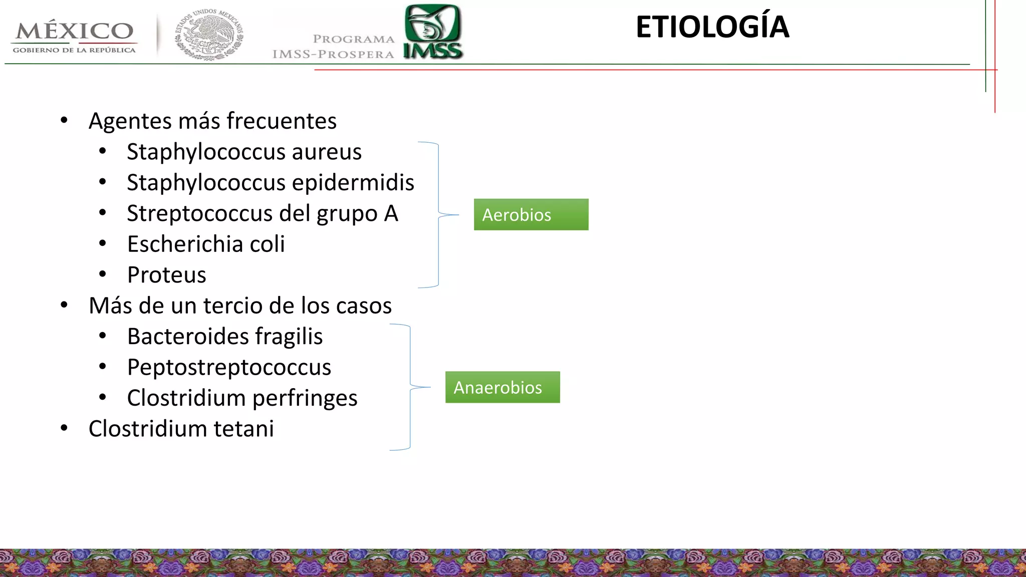 Onfalitis | PDF | Infectious Diseases | Diseases and Conditions