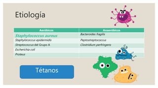 Onfalitis | PPTX