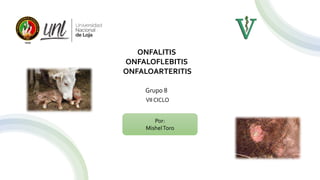 Onfalitis | PPTX