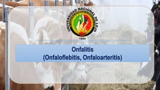 Onfalitis | PPTX