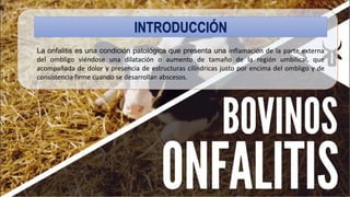 Onfalitis | PPTX