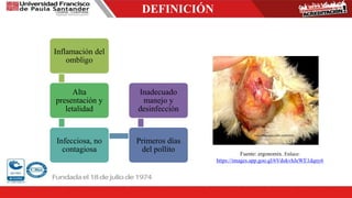 ONFALITIS AVIAR | PDF