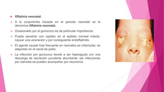 Onfalitis y conjuntivitis. | PPTX