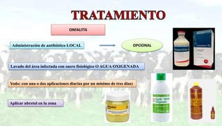 Onfalitis neonatal-bovina | PPTX