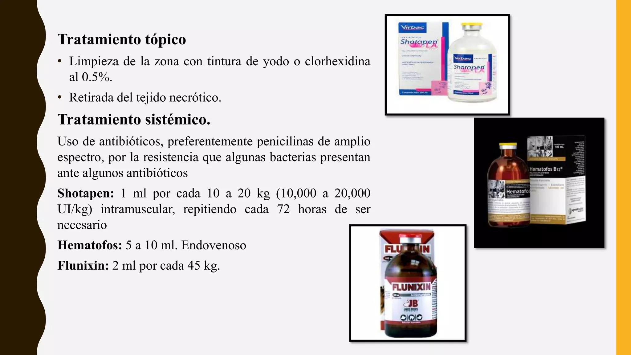 Onfalitis onfaloflebitis- onfaloarteritis | PPT