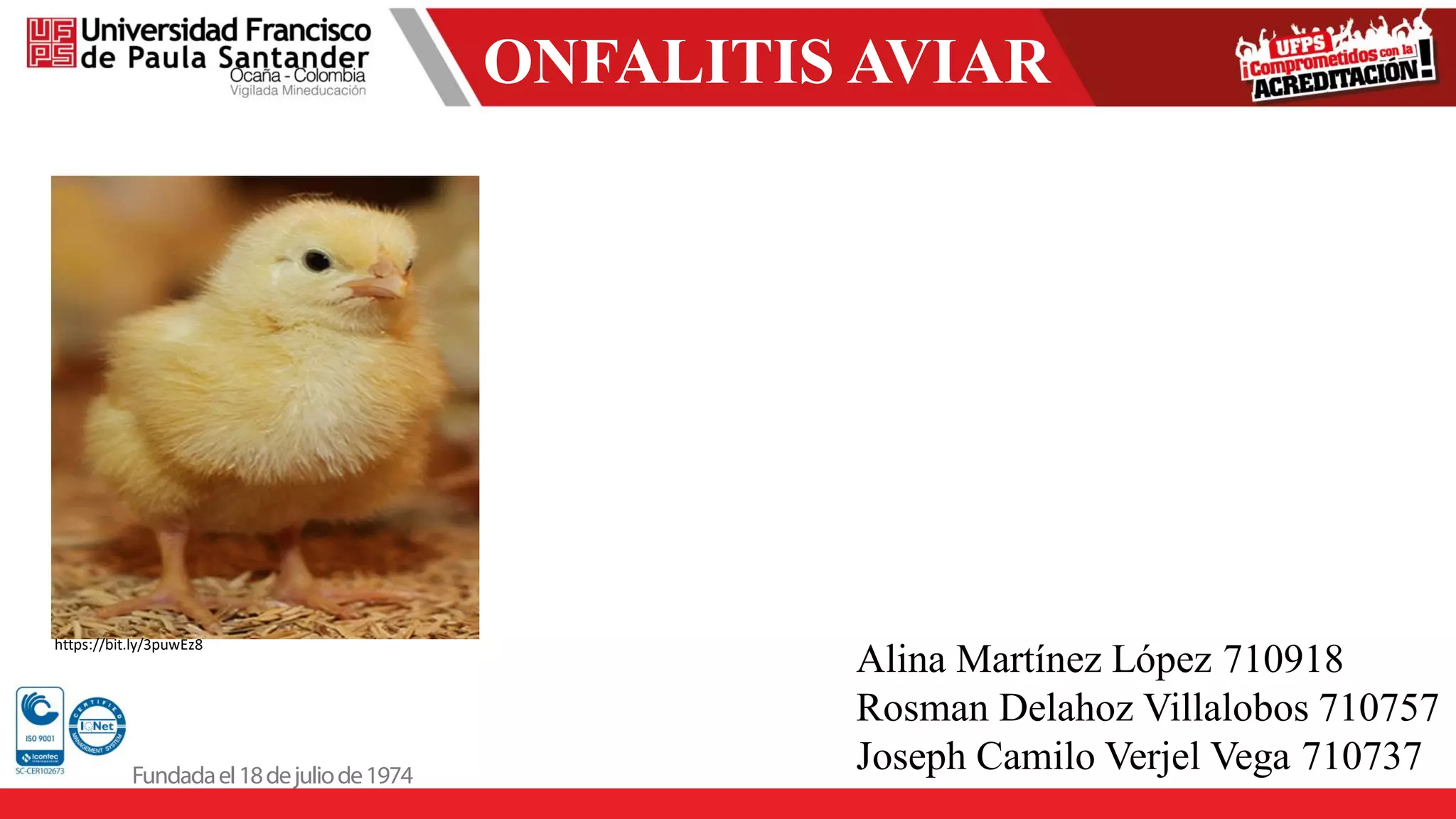 Onfalitis aviar.pdf