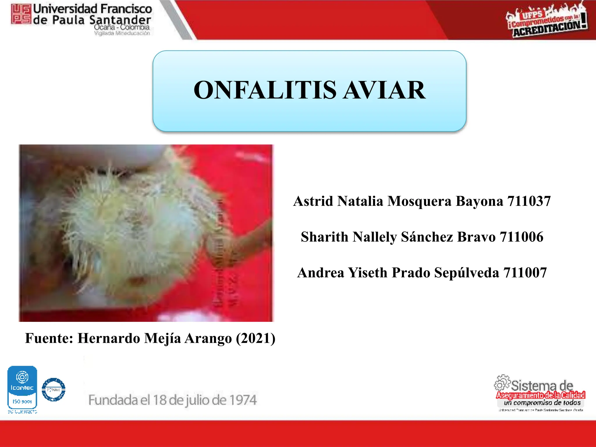 Onfalitis aviar.pptx