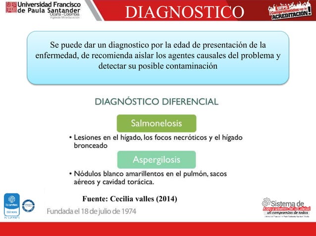 Onfalitis aviar.pptx | Infectious Diseases | Diseases and Conditions