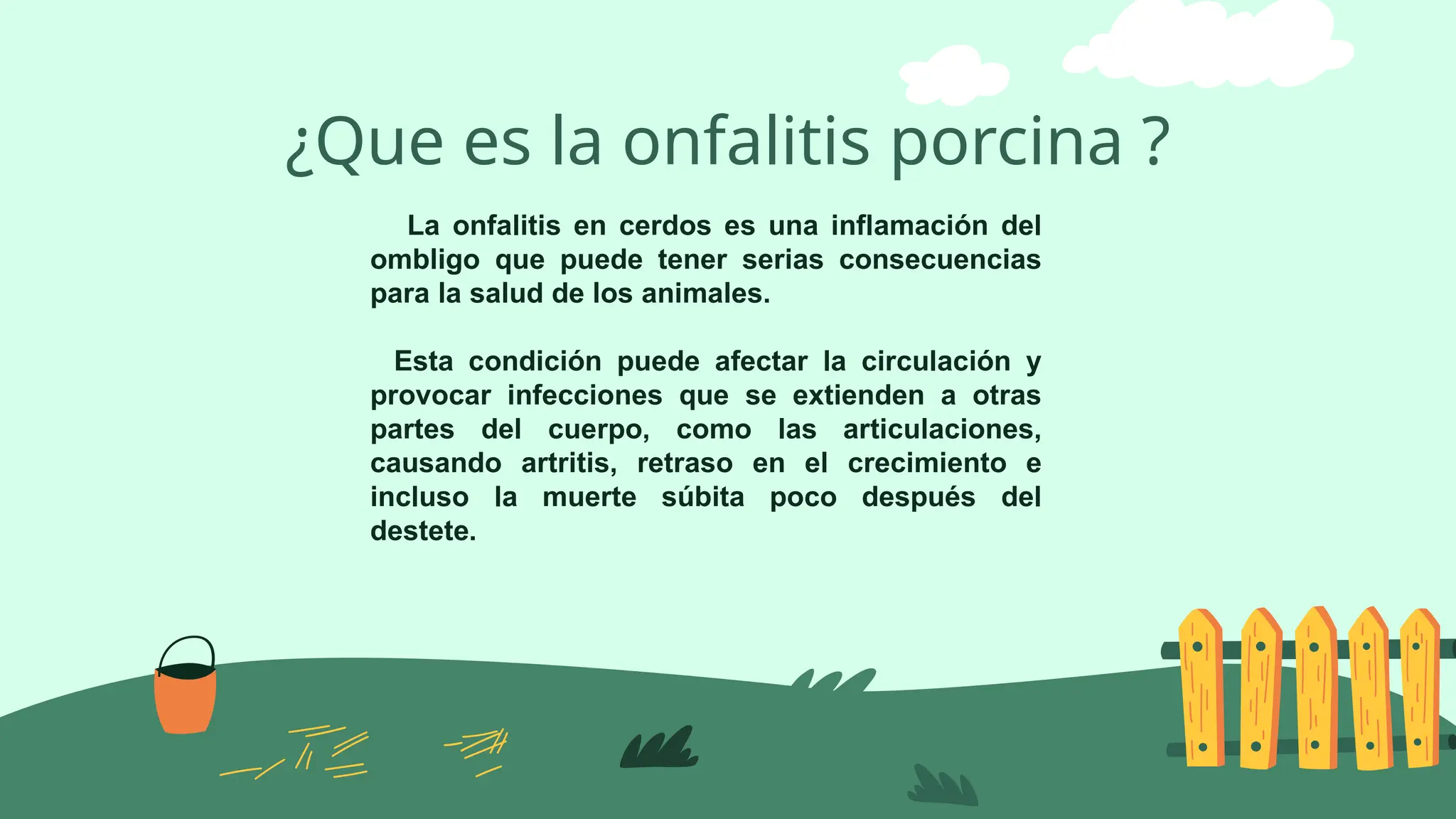 Onfalitis en cerdos veterinaria mvz cerdos | PPTX