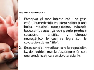 Onfalocele y gastrosquisis | PDF