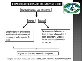 ONFALOMESENTERICO.pptx