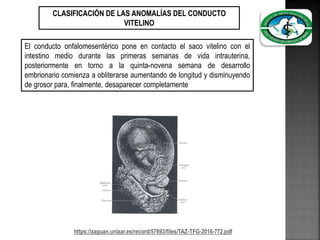 ONFALOMESENTERICO.pptx