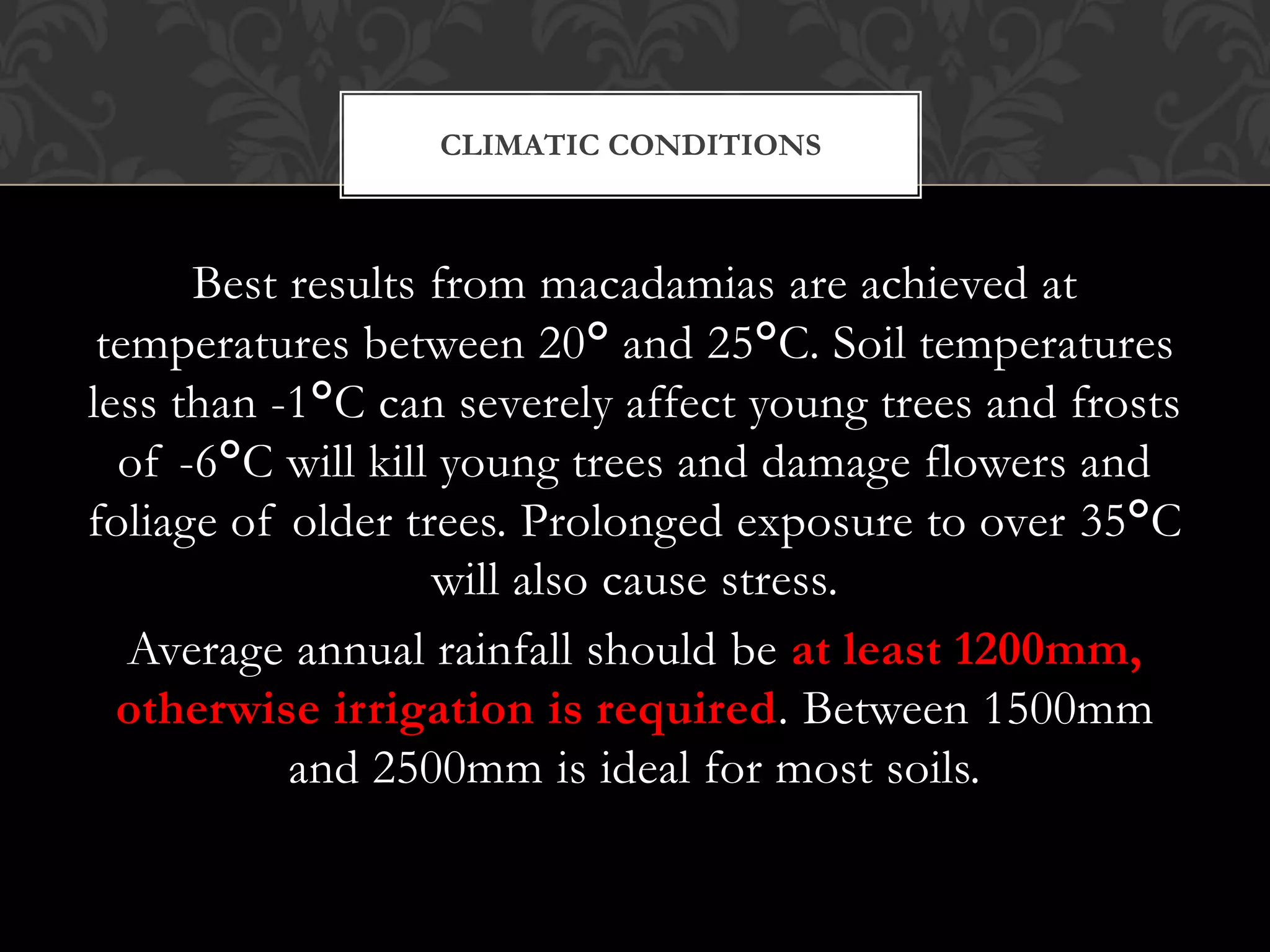 On farm innovations that increase production irrigated macadamia ...