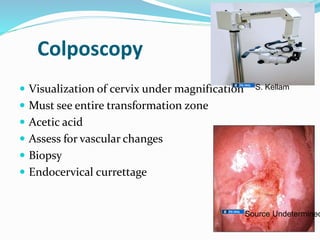 Diagnosis and treatment of the main gynaecological diseases | PPTX