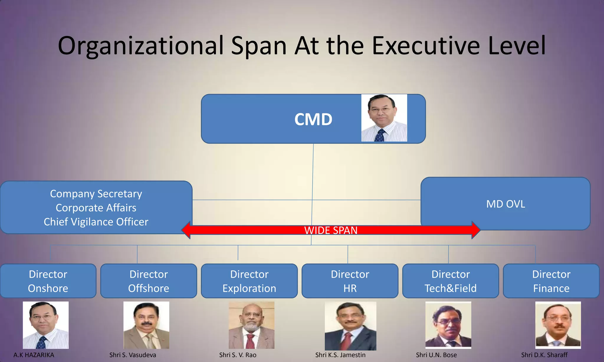 organization structure and hierarchy | PPTX