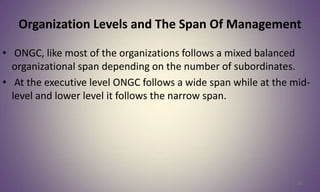 organization structure and hierarchy | PPTX