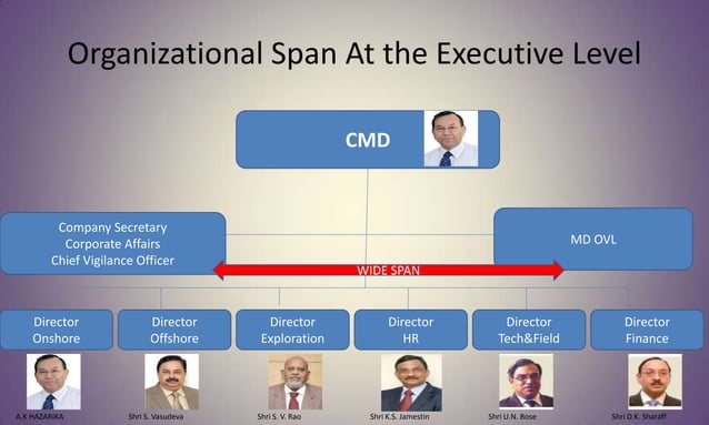 organization structure and hierarchy | PPTX