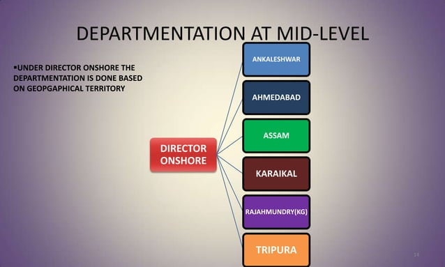 organization structure and hierarchy | PPTX