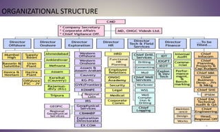 organization structure and hierarchy | PPTX